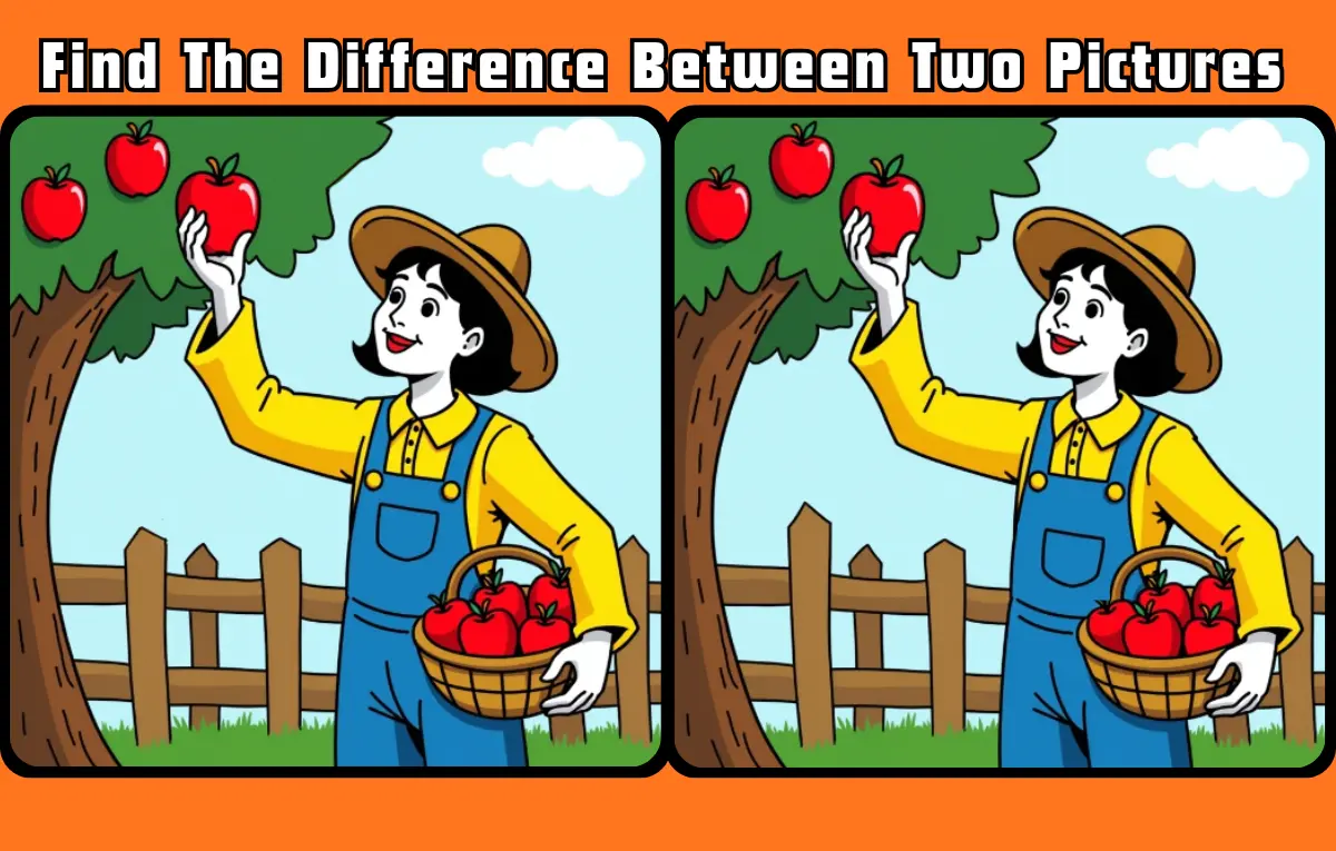 Find Difference Games Between 2 Pictures for Adults - Spotpuzzle.com