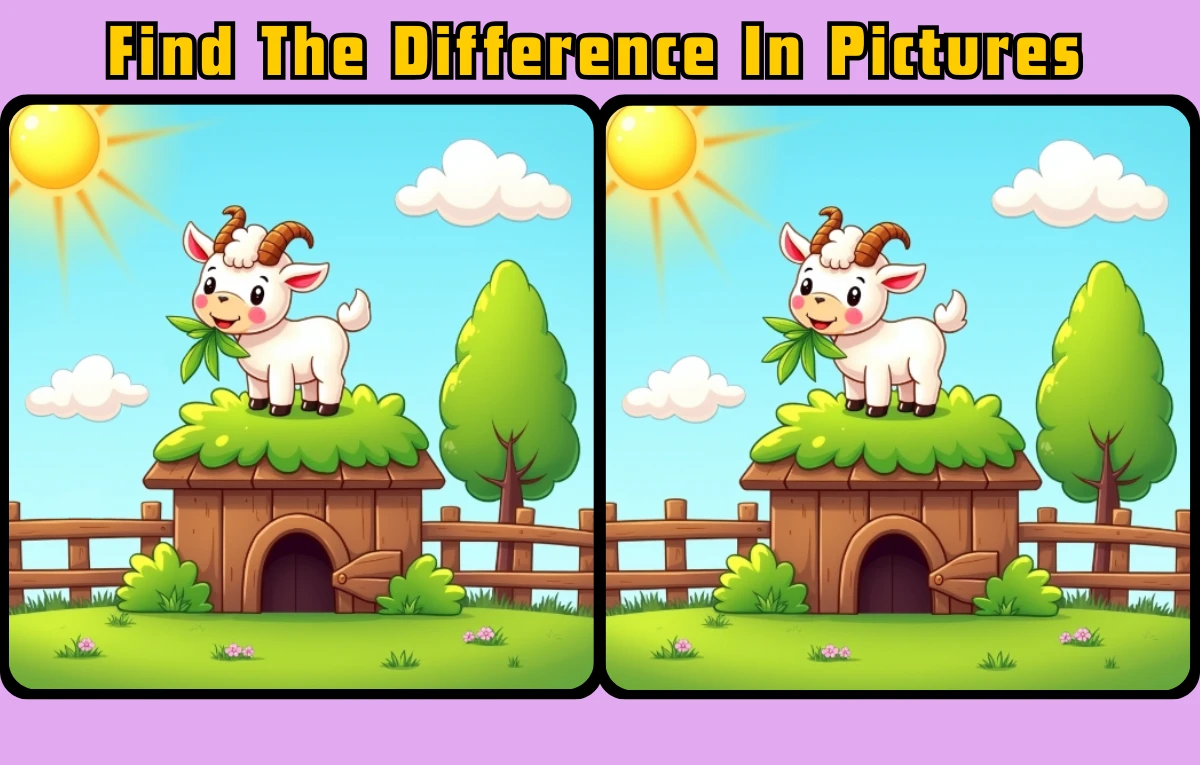 Find the Difference in Pictures - A Fun Brain Challenge for Adults ...