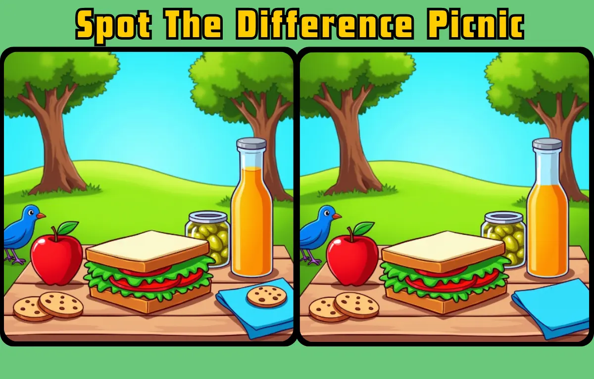 Spot the Difference Picnic: A Fun Challenge for Puzzle Lovers ...