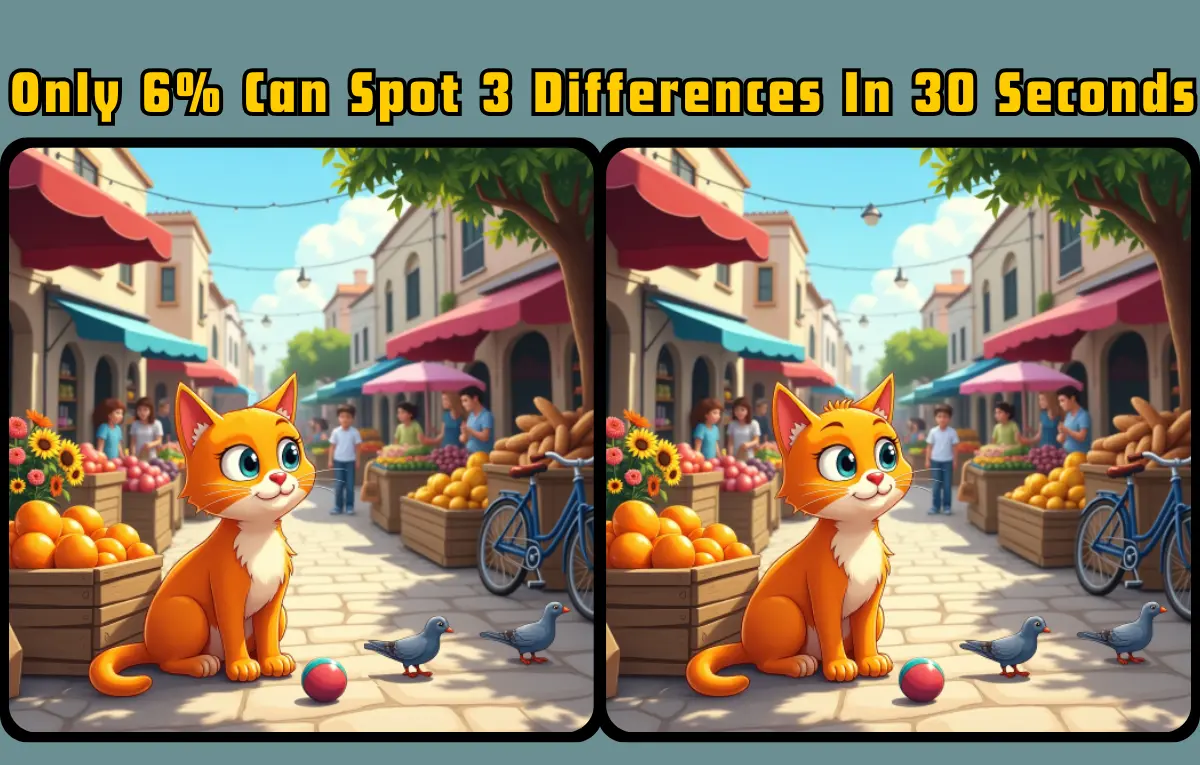 Can You Spot the Difference Cat Image in Just 30 Seconds? - Spotpuzzle.com